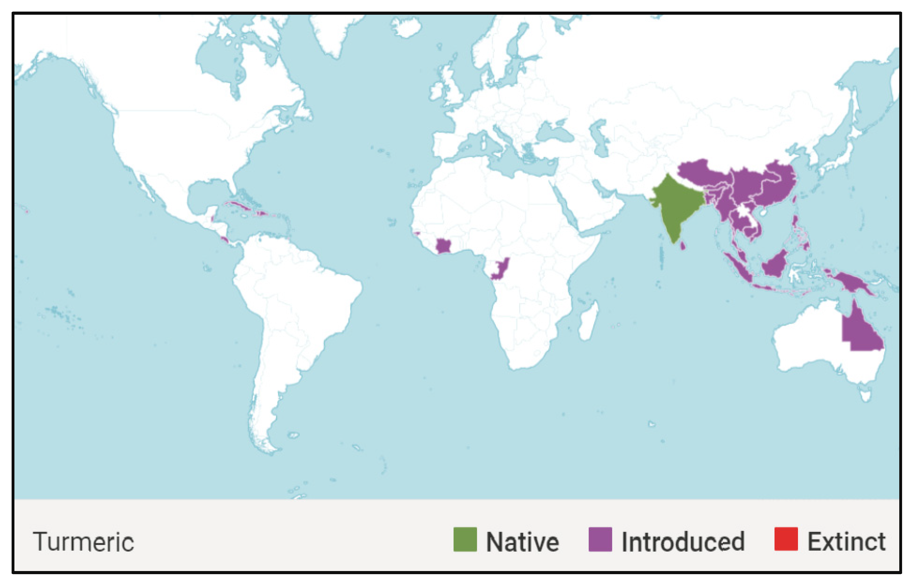 Ethnomedicinal, Phytochemistry and Antiviral Potential of Turmeric (Curcuma longa)