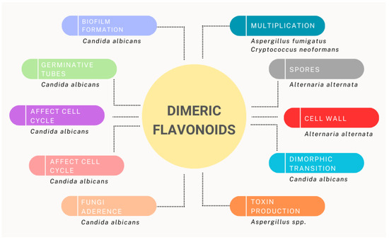 Antimicrobial Activity of Dimeric Flavonoids
