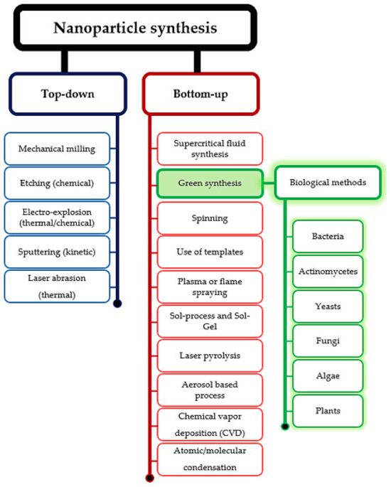 The Solution Combustion Synthesis of ZnO Nanoparticles Using Allium ...