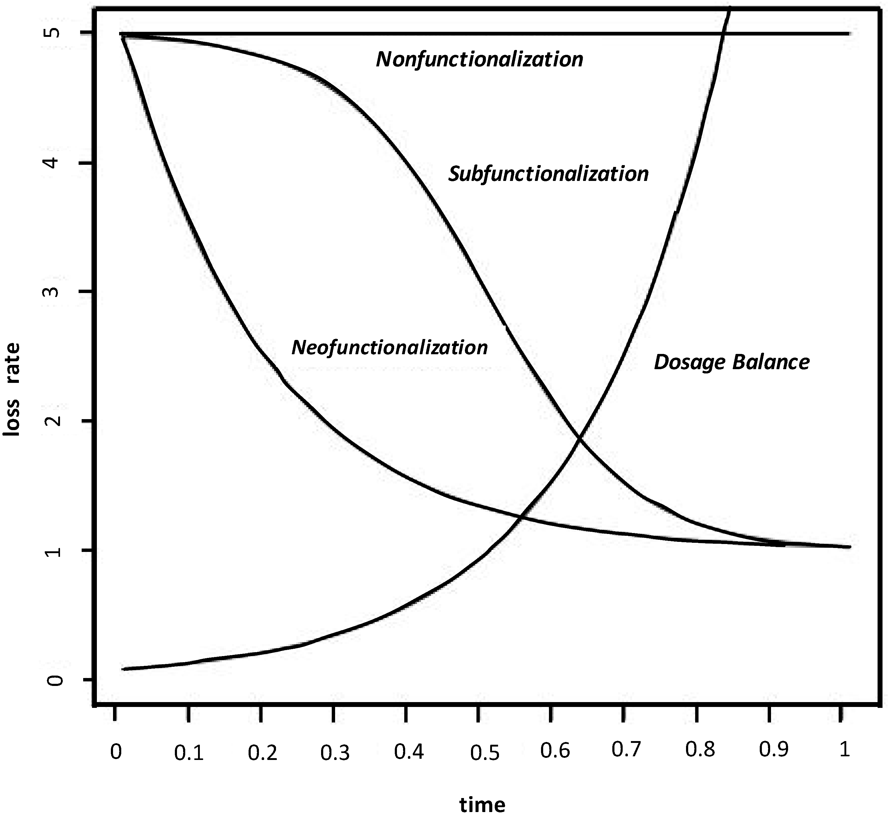 On Mechanistic Modeling of Gene Content Evolution: Birth-Death Models ...