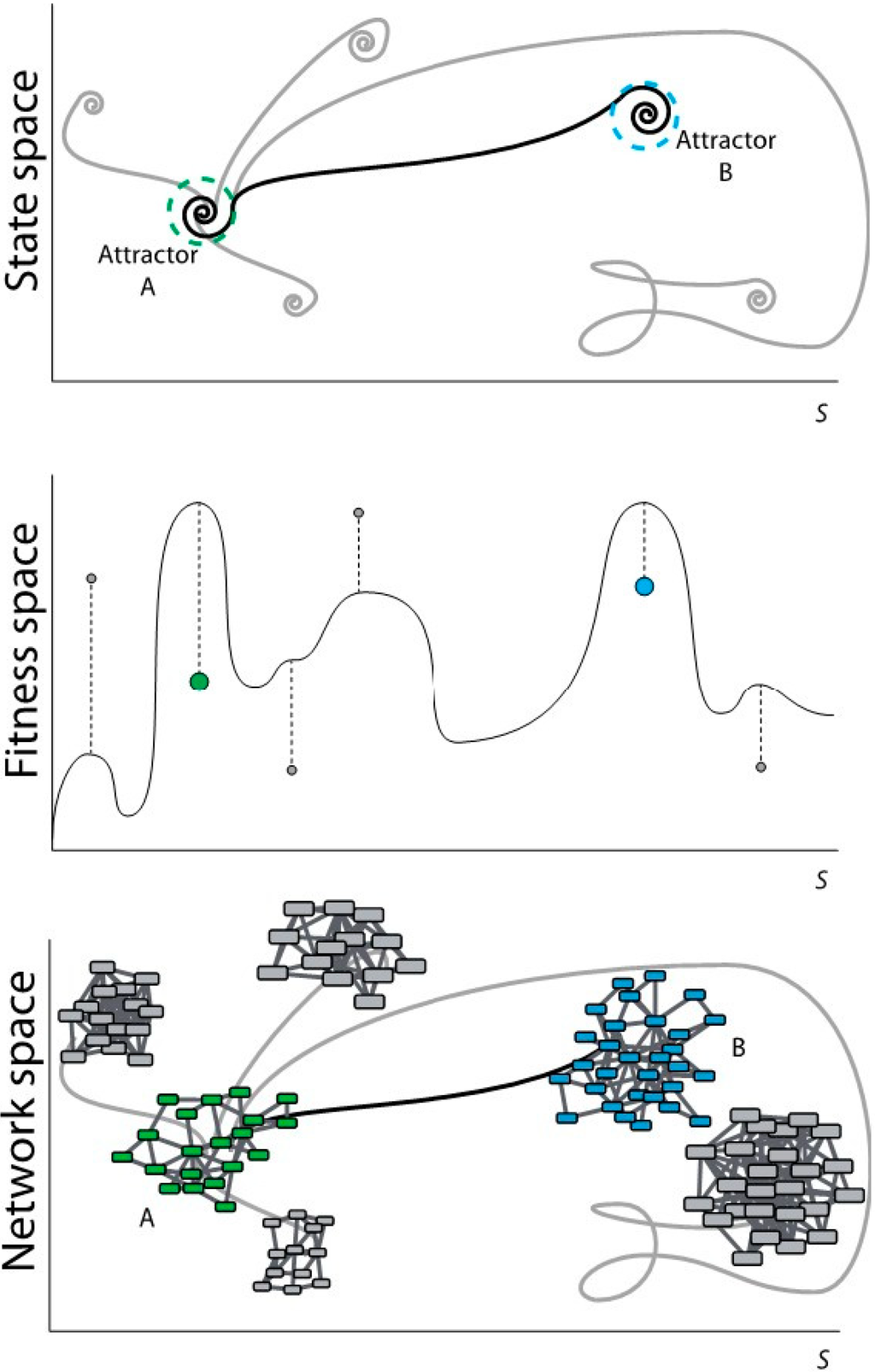 Computation | Free Full-Text | Evolutionary Dynamics in Gene Networks ...