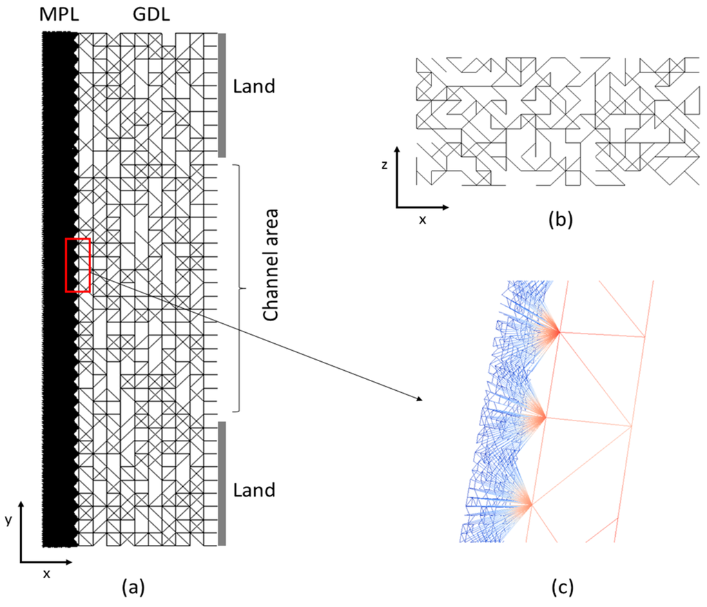 Pore-Network Modeling of Water and Vapor Transport in the Micro Porous ...