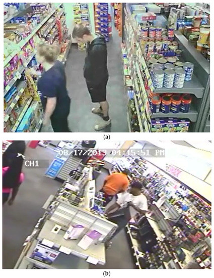 Detection of Shoplifting on Video Using a Hybrid Network