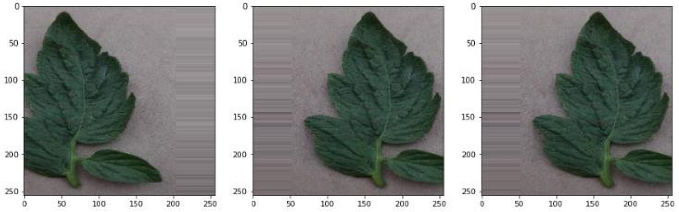 Mobile Application for Tomato Plant Leaf Disease Detection Using a ...