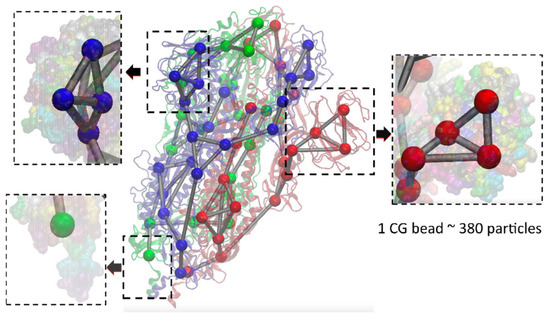 Computation | Free Full-Text | Coarse-Grained Modeling of the SARS-CoV-2 Spike Glycoprotein by ...