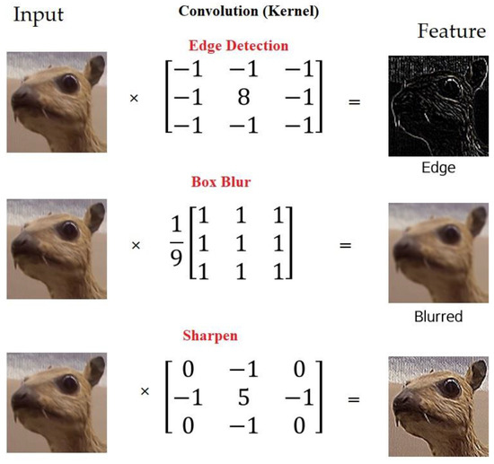 Computation | Free Full-Text | Theoretical Understanding of Convolutional Neural Network ...