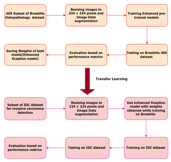 Enhanced Pre-Trained Xception Model Transfer Learned for Breast Cancer ...