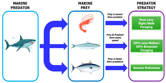 Marine Predators Algorithm for Sizing Optimization of Truss Structures with Continuous Variables