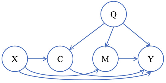 Quantifying Causal Path-Specific Importance in Structural Causal Model
