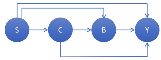 Quantifying Causal Path-Specific Importance in Structural Causal Model
