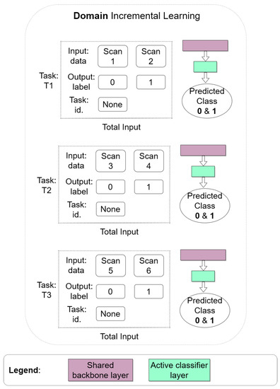 Incremental Learning-Based Algorithm for Anomaly Detection Using Computed Tomography Data