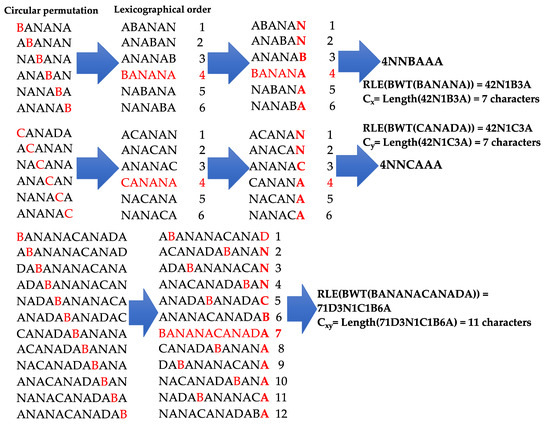 Genomic Phylogeny Using the MaxwellTM Classifier Based on Burrows ...