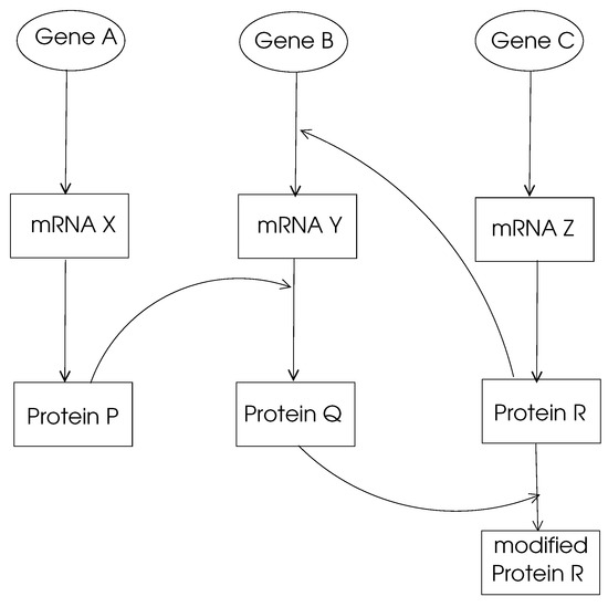Graph-Theoretical Analysis of Biological Networks: A Survey