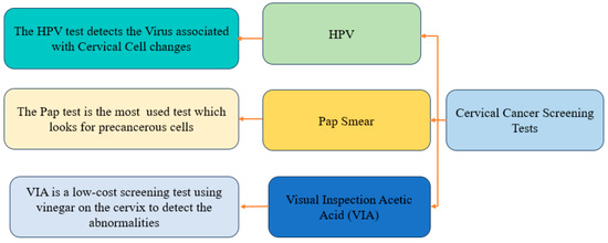 A Robust Deep Learning Approach for Accurate Segmentation of Cytoplasm ...