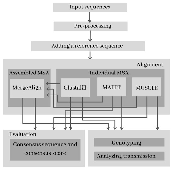 Evaluating The Performance Of Multiple Sequence Alignment Programs With 6492