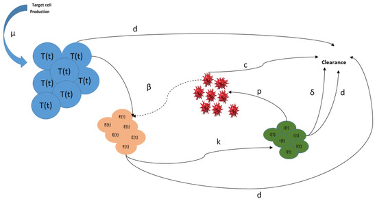 Global Dynamics of a Within-Host Model for Usutu Virus
