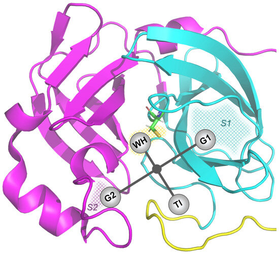 Computer Aided Structure-Based Drug Design of Novel SARS-CoV-2 Main ...