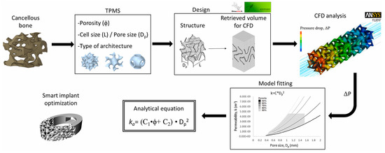 Computational Modelling and Simulation of Scaffolds for Bone Tissue Engineering