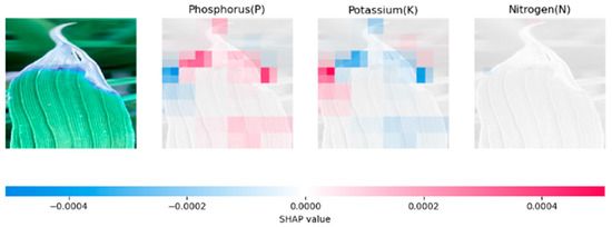 Analysing the Performance and Interpretability of CNN-Based ...