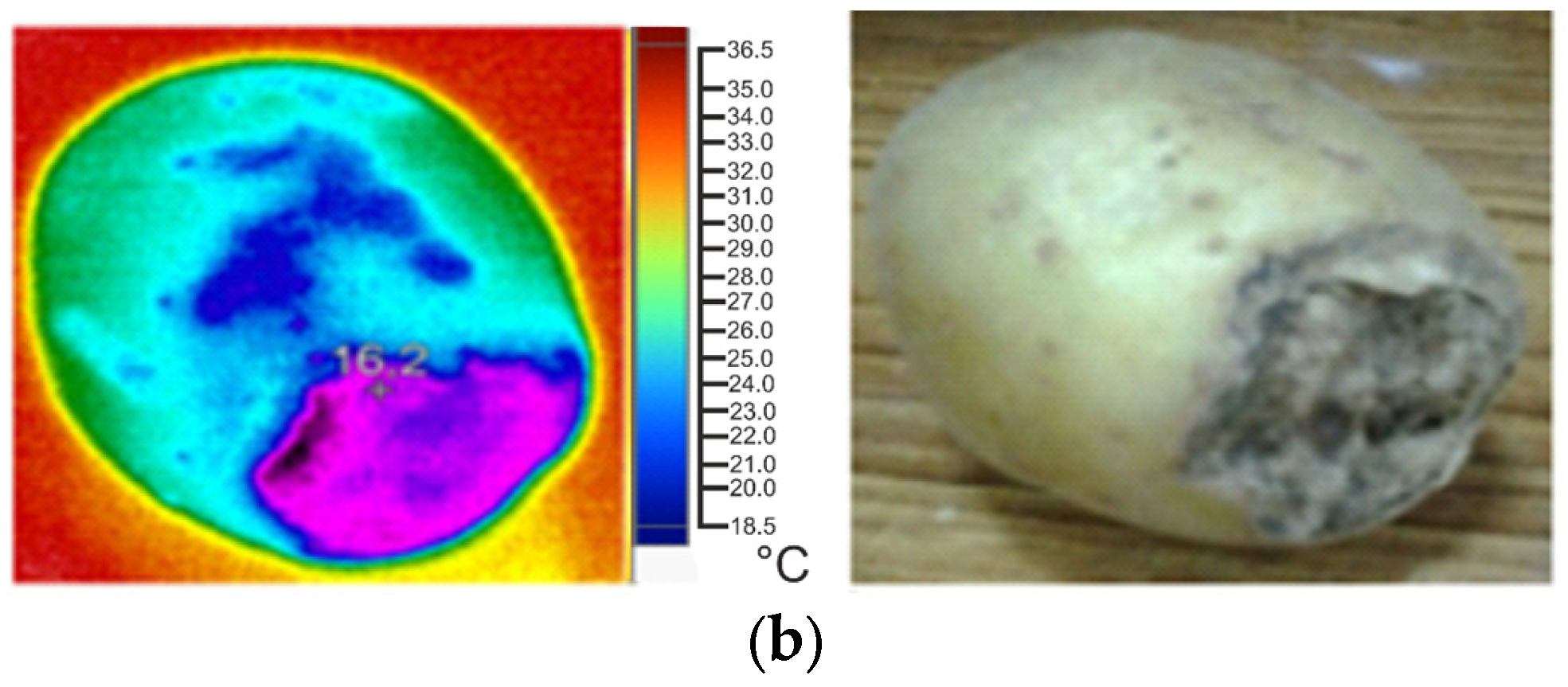 Computation | Free Full-Text | Mathematical Modeling of the Heat ...