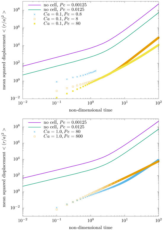 Transport Characteristics of Small Molecules Diffusing near Deforming ...