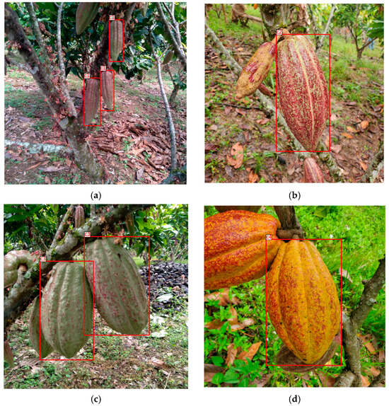 An Application of Deep Learning Models for the Detection of Cocoa Pods ...