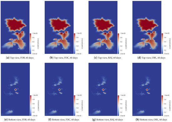 Advanced Linearization Methods for Efficient and Accurate Compositional ...