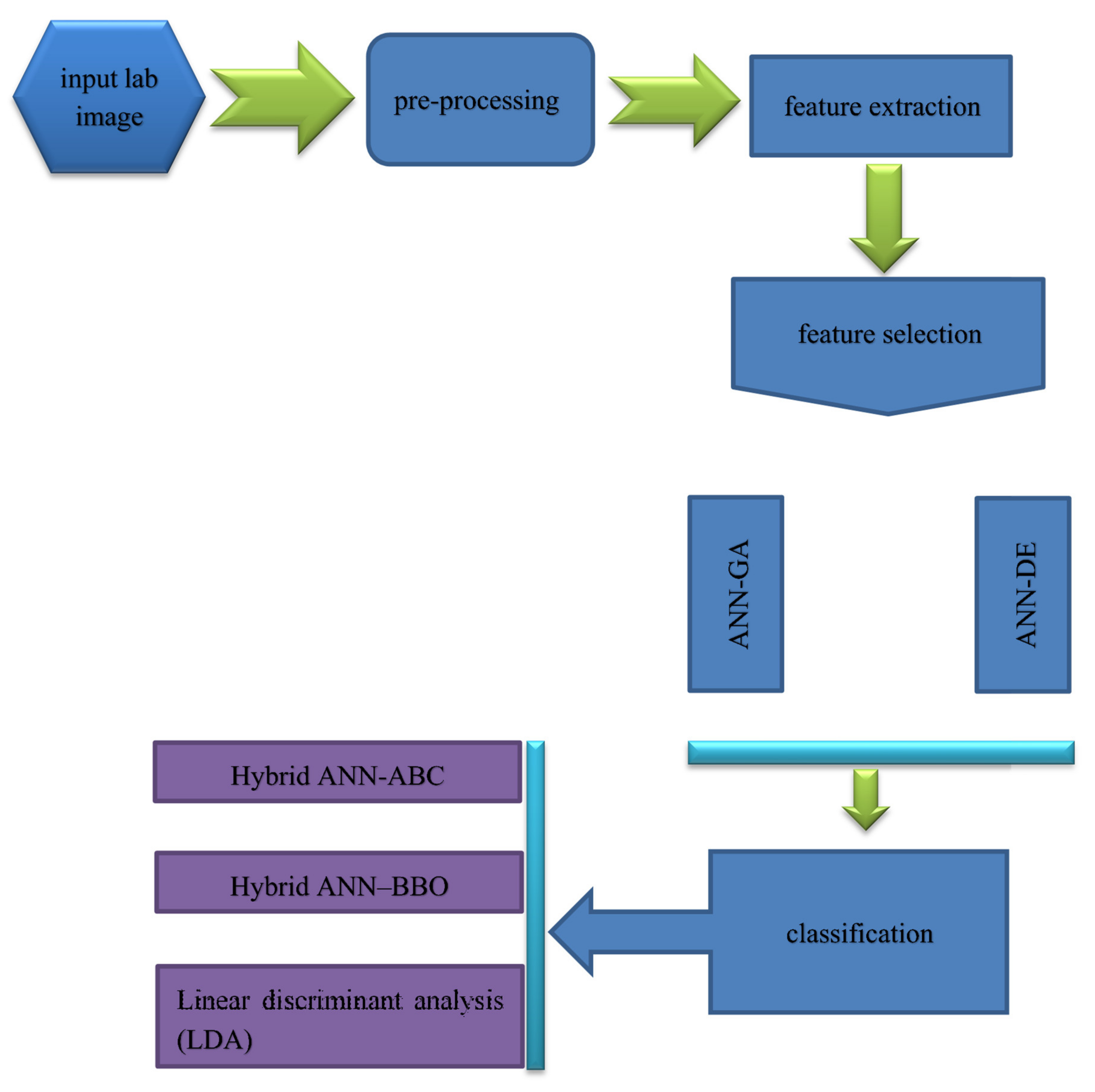 A Computer Vision System for the Automatic Classification of Five ...