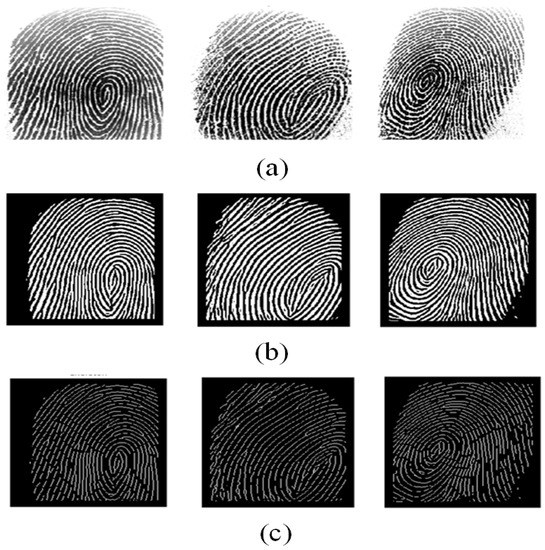 Deep Feature Fusion of Fingerprint and Online Signature for Multimodal ...