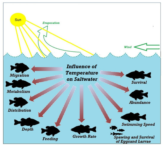 Recent Advancement of the Sensors for Monitoring the Water Quality ...