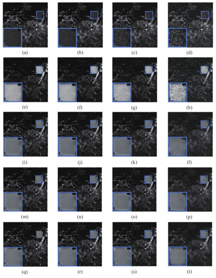Computers | Free Full-Text | A Novel Multi-Modality Image Simultaneous Denoising and Fusion ...