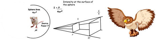 Computers | Free Full-Text | An Improved Binary Owl Feature Selection in the Context of Android ...
