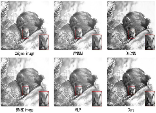 Image Denoising by Deep Convolution Based on Sparse Representation