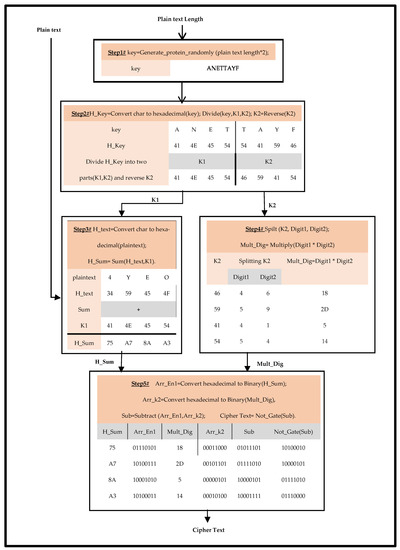 Enhancing Data Security: A Cutting-Edge Approach Utilizing Protein ...