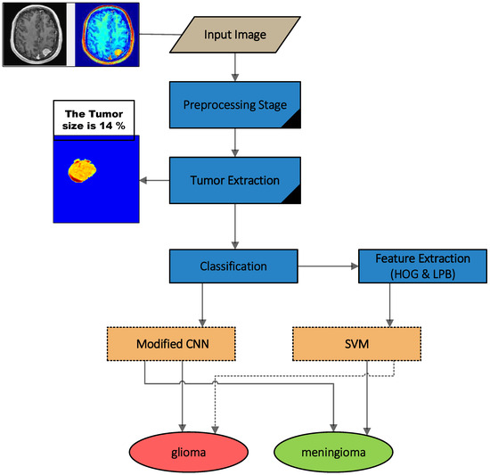 Computers | Free Full-Text | Brain Pathology Classification of MR ...