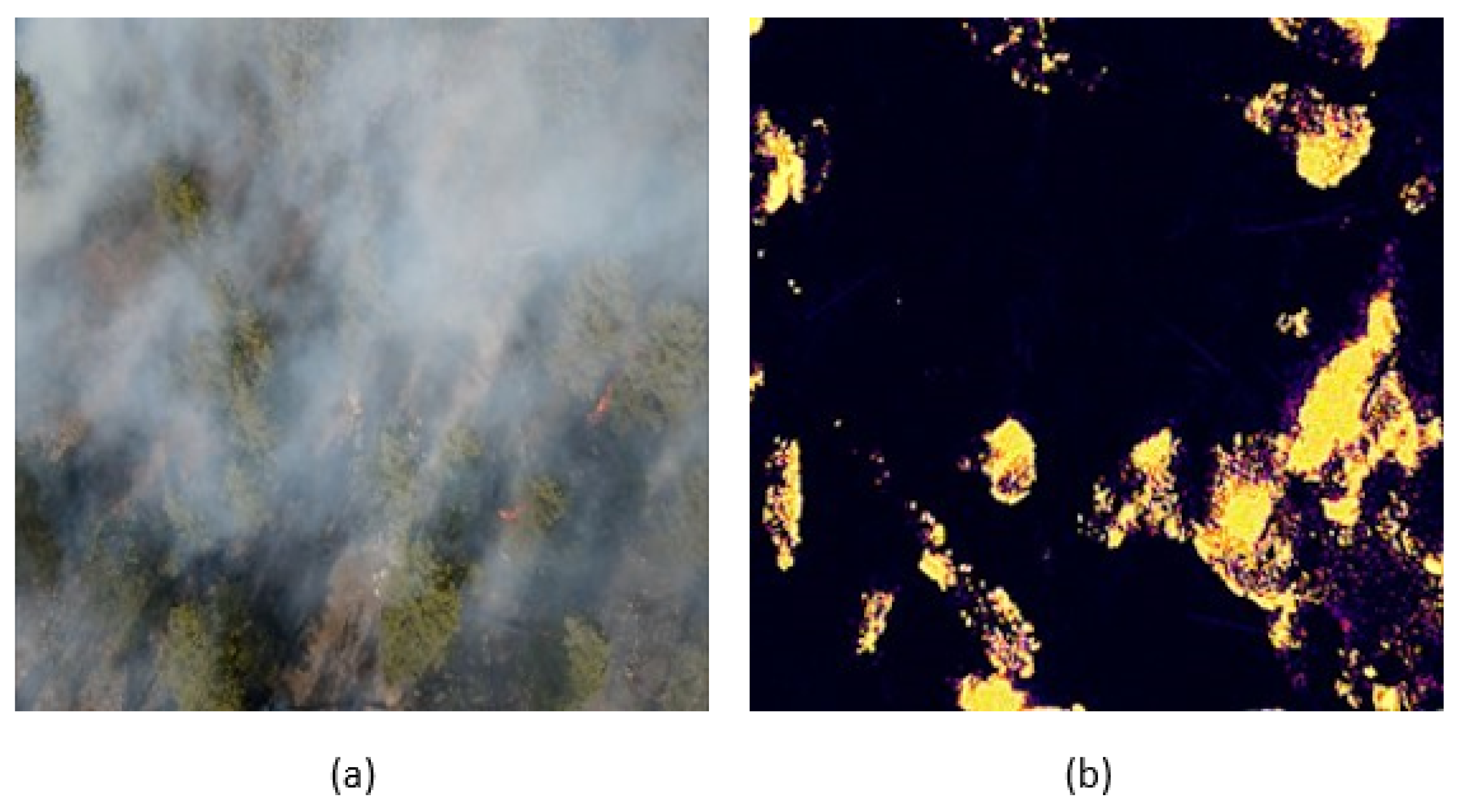 Forest Defender Fusion System for Early Detection of Forest Fires