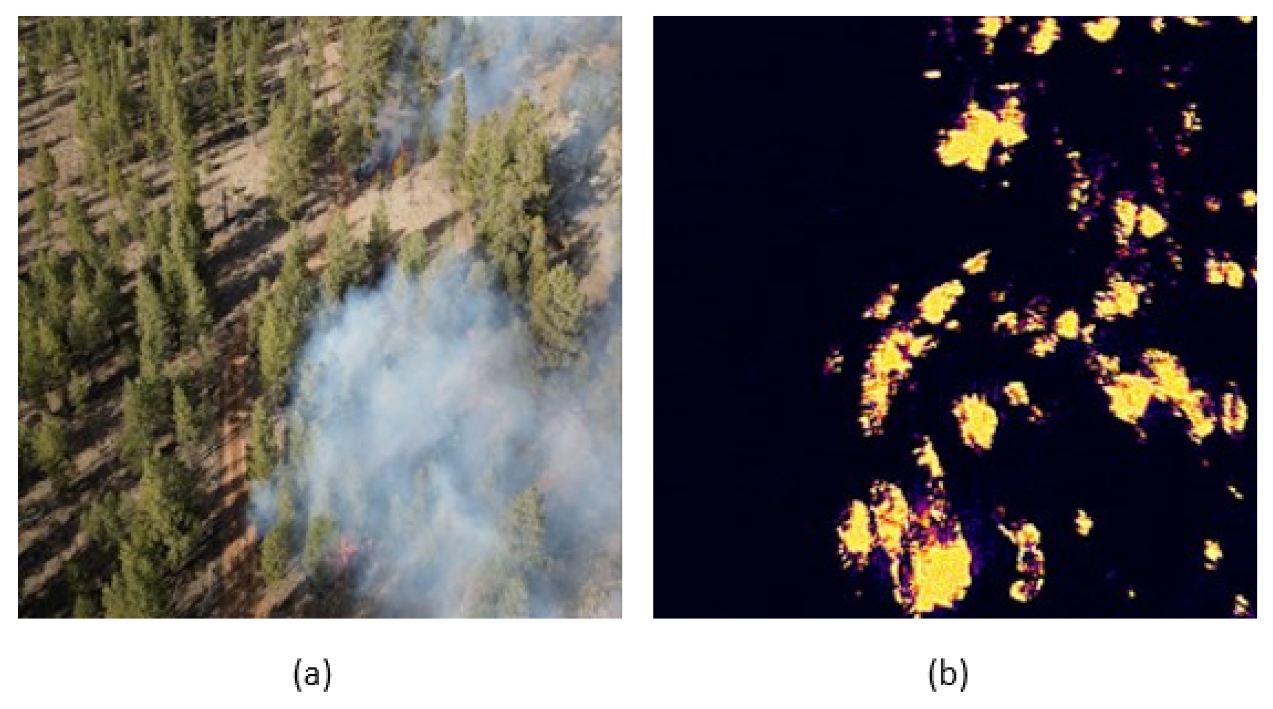 Forest Defender Fusion System for Early Detection of Forest Fires