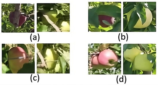 A Seamless Deep Learning Approach for Apple Detection, Depth Estimation ...