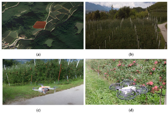 A Seamless Deep Learning Approach for Apple Detection, Depth Estimation, and Tracking Using YOLO ...