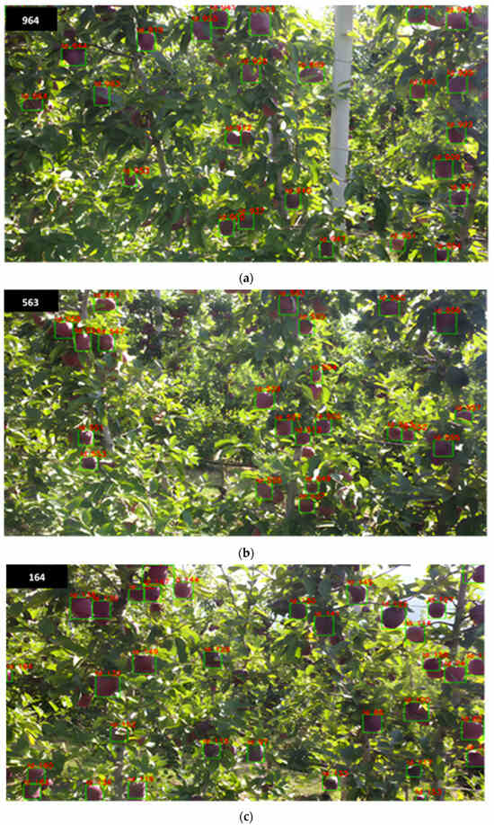 A Seamless Deep Learning Approach for Apple Detection, Depth Estimation ...