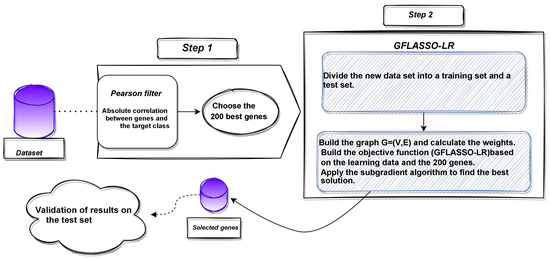 GFLASSO-LR: Logistic Regression with Generalized Fused LASSO for Gene ...