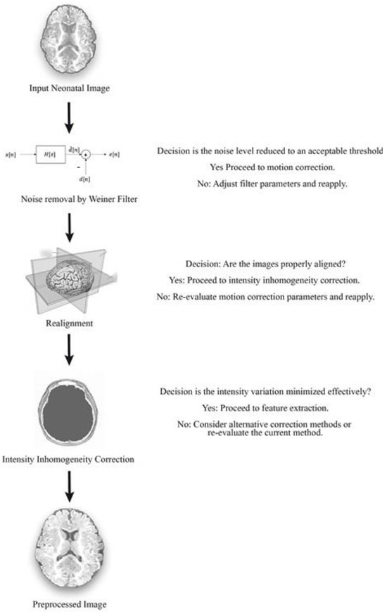 Enhanced Neonatal Brain Tissue Analysis via Minimum Spanning Tree Segmentation and the Brier ...