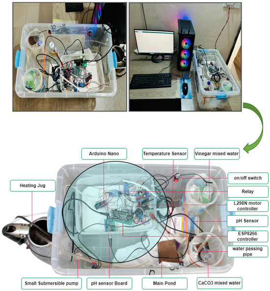 Internet of Things-Driven Precision in Fish Farming: A Deep Dive into ...