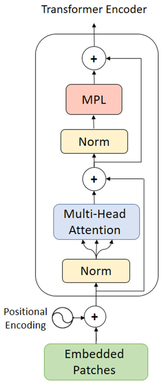Transformer-Based Student Engagement Recognition Using Few-Shot Learning