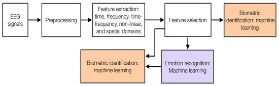 EEG-Based Biometric Identification and Emotion Recognition: An Overview