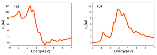 First Principles Calculations of the Optical Response of LiNiO2
