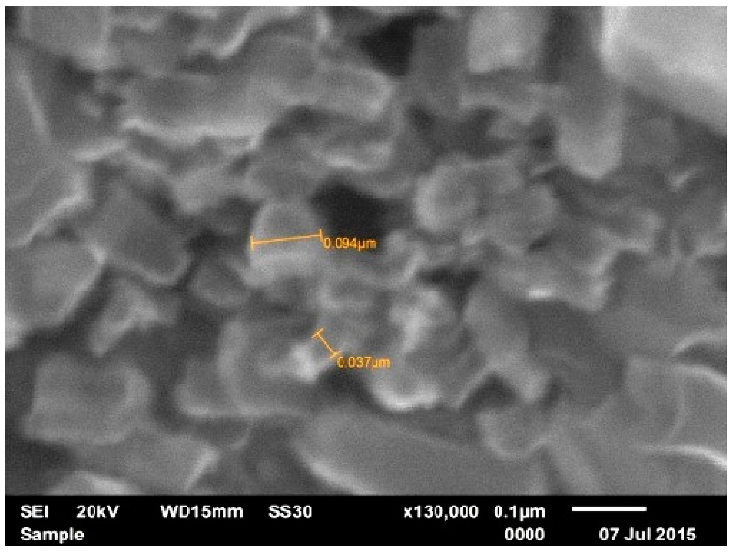 Advanced Boron Carbide Matrix Nanocomposites Obtained from Liquid ...