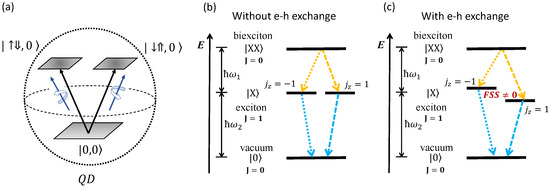 Effects of the Exciton Fine Structure Splitting on the Entanglement ...
