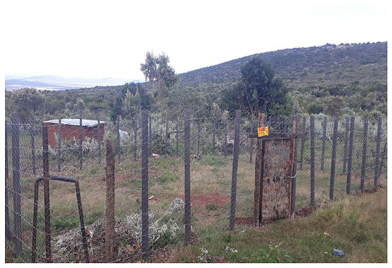 Efficacy of Bomas (Kraals) in Mitigating Livestock Depredation in ...