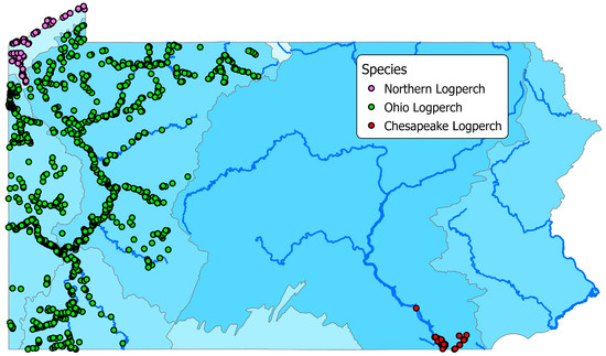 Diet and Habitat Comparison of Two Closely Related Darters (Percina ...